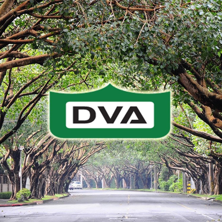 ISSUANCE OF DVA-CSA STICKERS FOR AY 2025 - 2026 – Colegio San Agustin ...